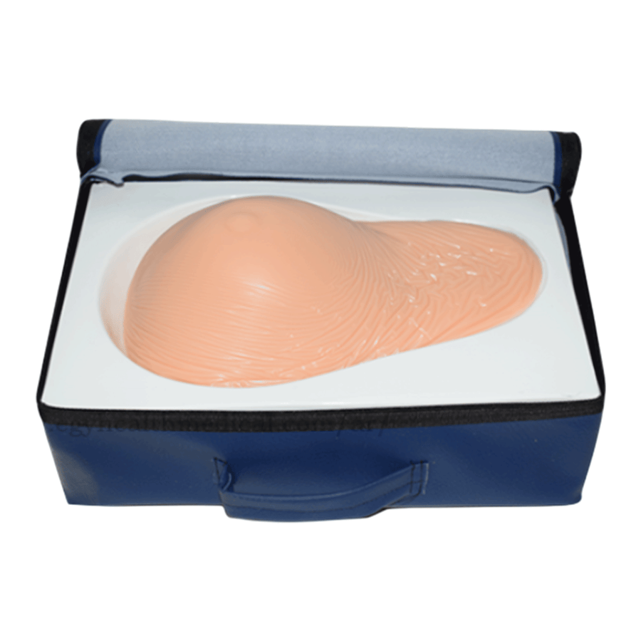 Silicone Breast for Cancer Patients | Medical supplies | Egy Health